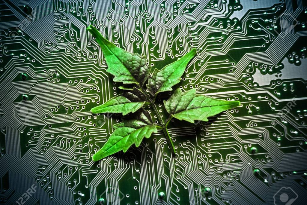 Il Green Computing: scopriamo di cosa si tratta - Pc Cube