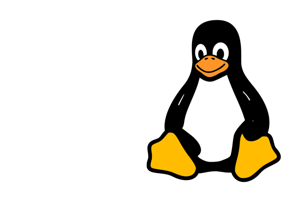 Linus Torvalds and the Open Source Revolution - Pc Cube